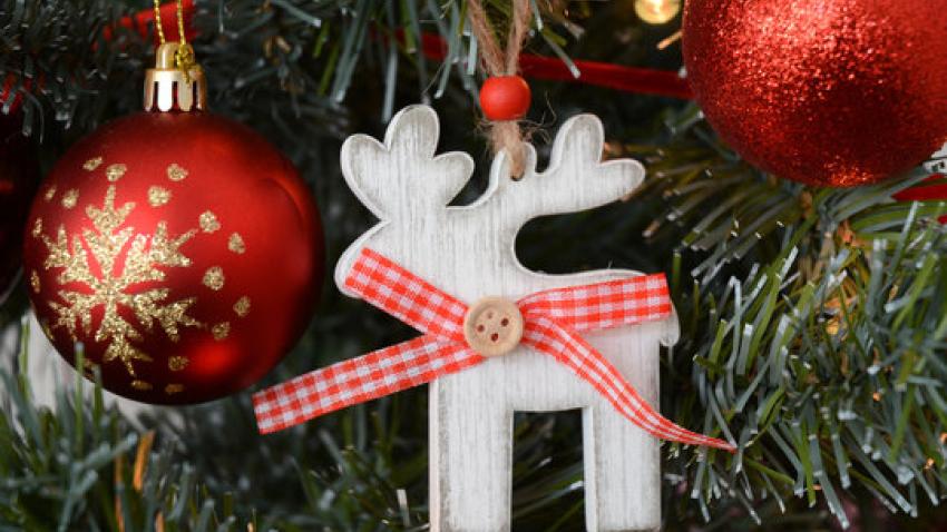 De beroepsvereniging voor professioneel begeleiders | LVSC